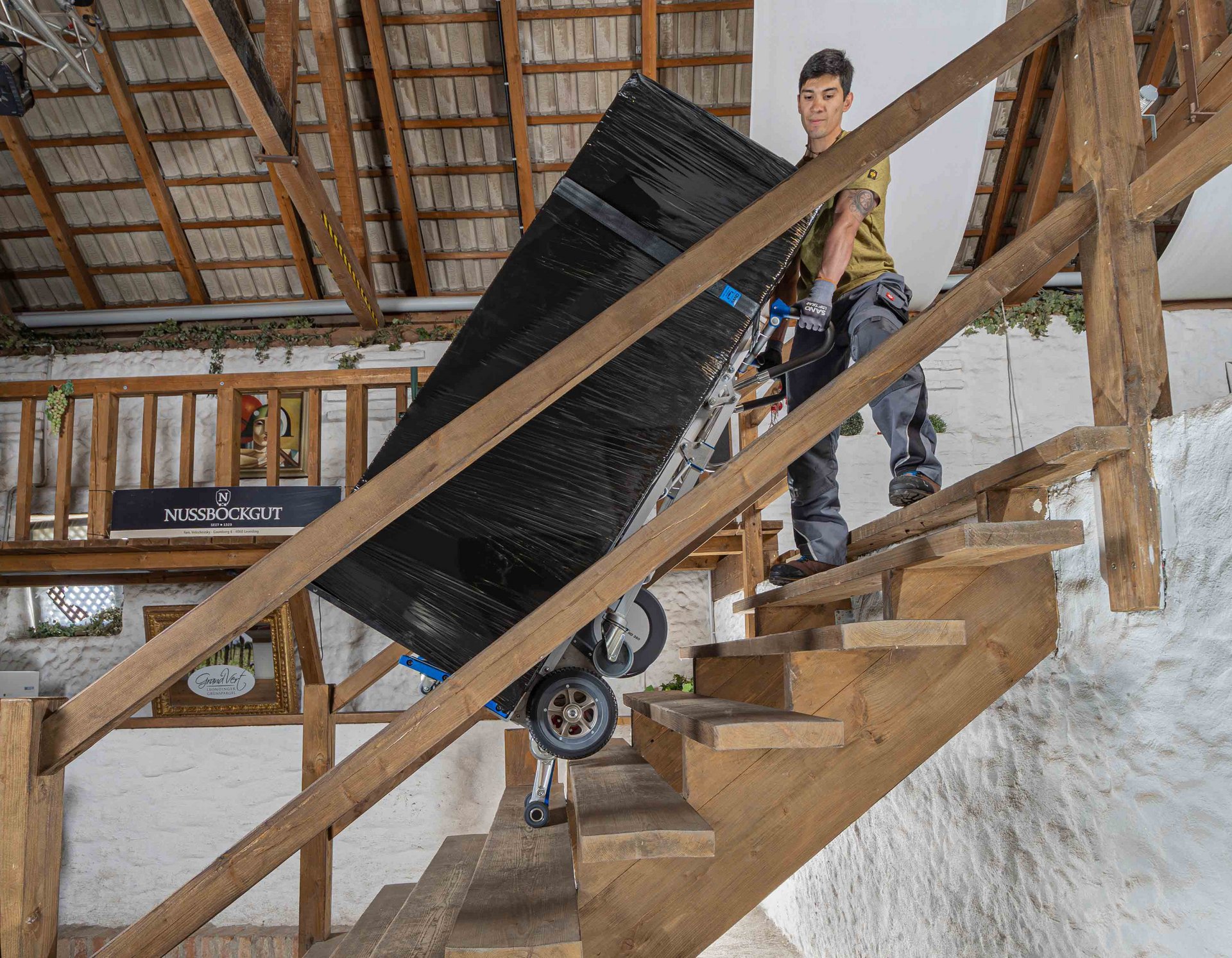 SANO United States | SANO US